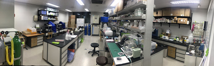 Chung Research Group @ KU